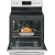 Frigidaire FGEF3055MF 30 Inch Freestanding Electric Range with 5 ...
