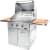 Capital CG30RFS 30 Inch Built-in Gas Grill with 500 Sq. In. Cooking ...
