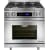 Dacor DR30DLP 30 Inch Pro-Style Dual-Fuel Range with Convection, Meat ...