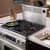 Dacor DR30DING 30 Inch Pro-Style Slide-in Dual-Fuel Range with 4 Sealed ...
