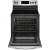 Frigidaire FFEF3054TS 30 Inch Electric Range with 5 Heating Elements, 5 ...