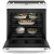 GE JS760DPWW 30 Inch Electric Range with 5 Radiant Elements, 5.3 Cu. Ft ...