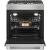JennAir JDS1450ML 30 Inch Slide-In Dual-Fuel Range with 5 Sealed ...
