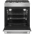 JennAir JDS1450ML 30 Inch Slide-In Dual-Fuel Range with 5 Sealed ...
