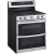 LG LDEL7324SE 30 Inch Double Electric Oven Range with 5 Radiant Heating ...