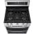 LG LDGL6924S 30 Inch Double Gas Oven Range with 5 Sealed Burners, 6.9 ...