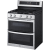 LG LDGL6924S 30 Inch Double Gas Oven Range with 5 Sealed Burners, 6.9 cu. ft. Total Capacity ...