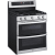 LG LDGL6924S 30 Inch Double Gas Oven Range with 5 Sealed Burners, 6.9 cu. ft. Total Capacity ...