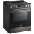 LG LSEL6333D 30 Inch Electric Slide-In Smart Range with 5 Elements, 6.3 ...