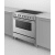 Fisher & Paykel OR36SCI6X1 36 Inch Freestanding Induction Range with 5 ...