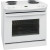 Frigidaire FFED3015PW 30 Inch Drop-in Electric Range with 4 Coil ...