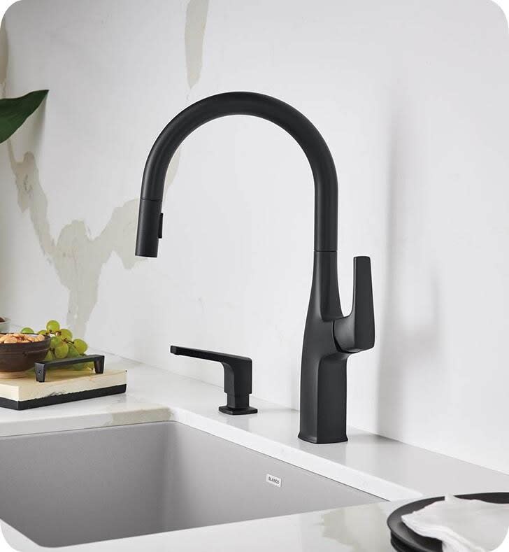 Blanco 443020 Rivana Single Handle Pull Down Kitchen Faucet with 1.5 ...