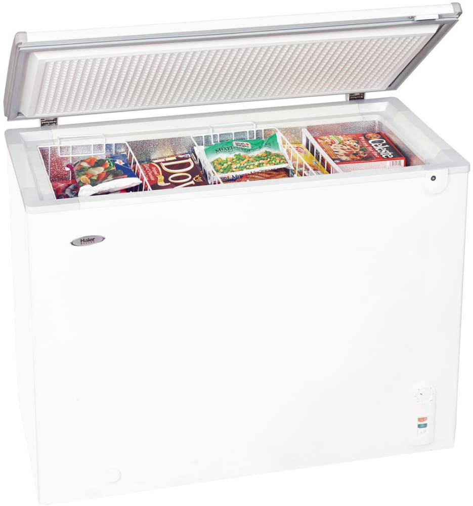 largest chest freezer