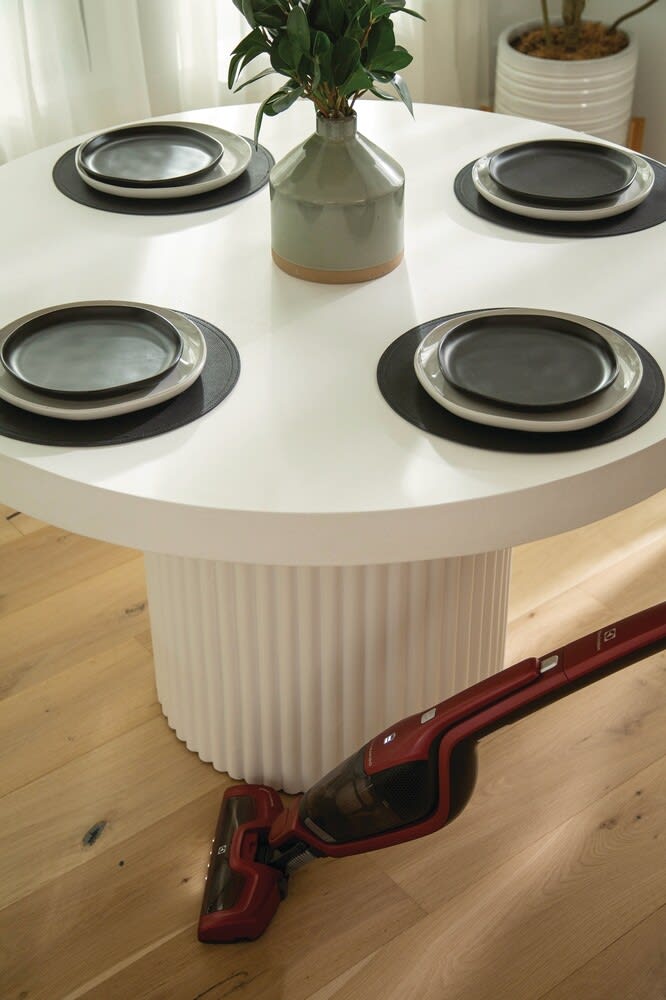 Electrolux EHVS3510AR Ergorapido™ Pet Cordless 2-in-1 Stick Vacuum with ...