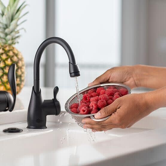 InSinkErator FC1400MBLK Single Handle Cool Filtered Water Dispenser ...