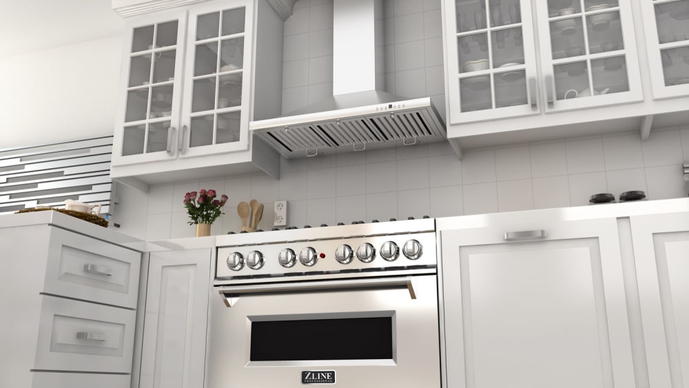 ZLINE RA36 36 Inch Freestanding Dual Fuel Range with 6 Sealed Italian ...