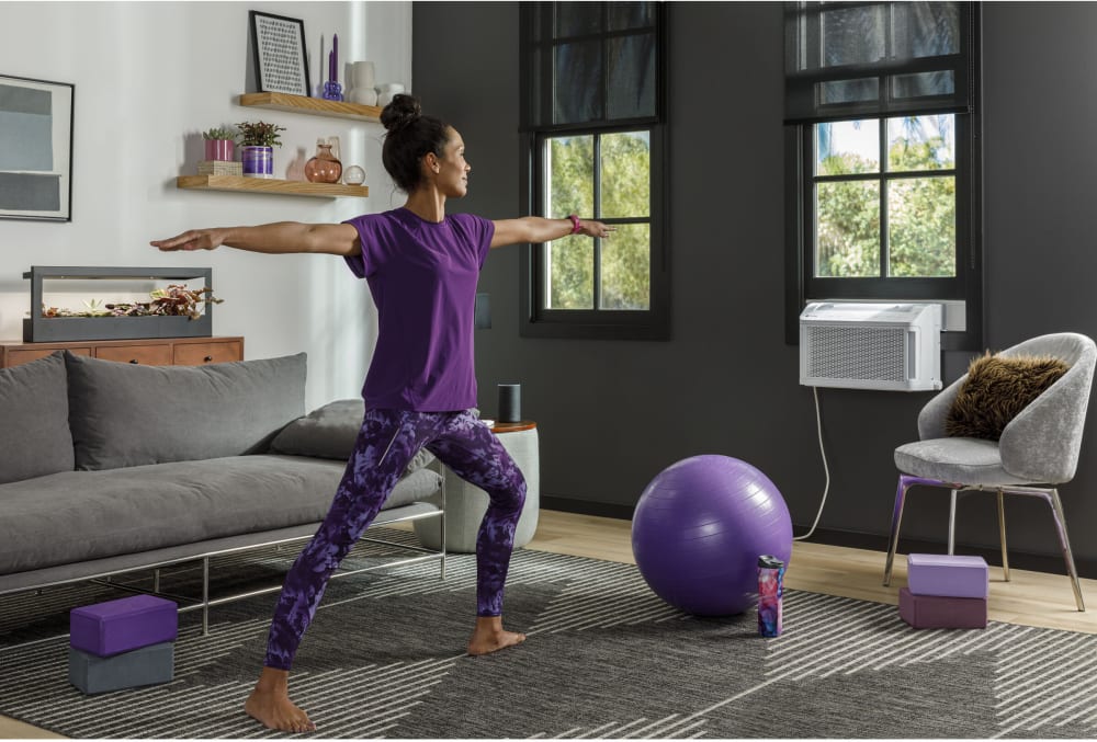 GE AHTT08BC Profile ClearView™ Window Smart Air Conditioner with Flex ...