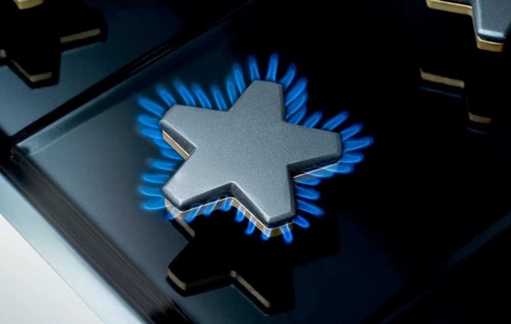 Thermador PCG486WD Gas Rangetop with Griddle, Pedestal Star® Burners ...