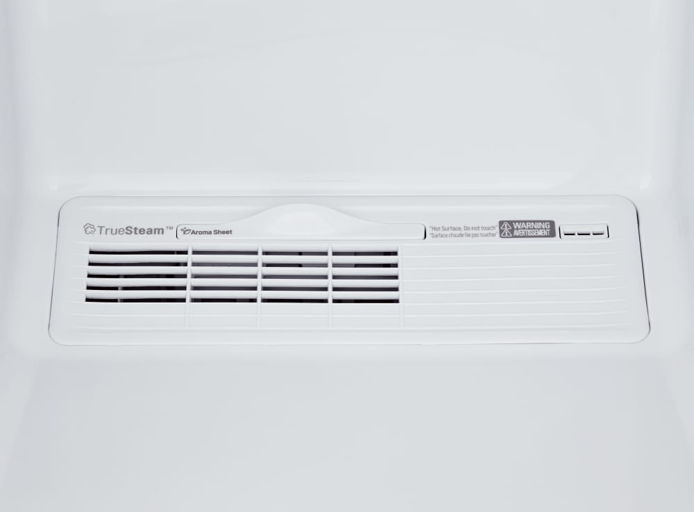 LG S3CW 18 Inch Smart Steam Closet with 11.4 lb. Capacity, TrueSteam ...