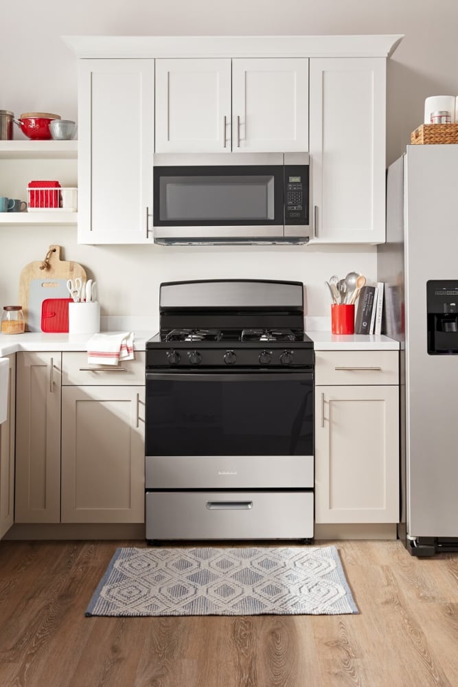 Amana AGR4203MNS 30 Inch Freestanding Gas Range with 4 Sealed Burners ...