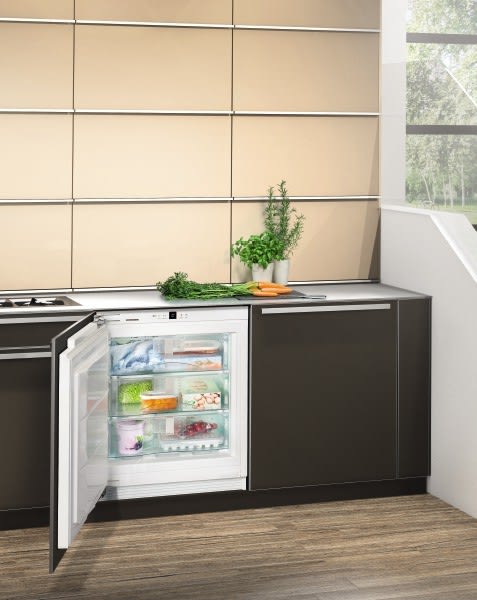 Liebherr UF501 24 Inch Undercounter Compact Freezer with FrostSafe ...