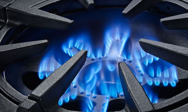 BlueStar BSP488BPLT 48 Inch Freestanding Professional Gas Range with 8 ...