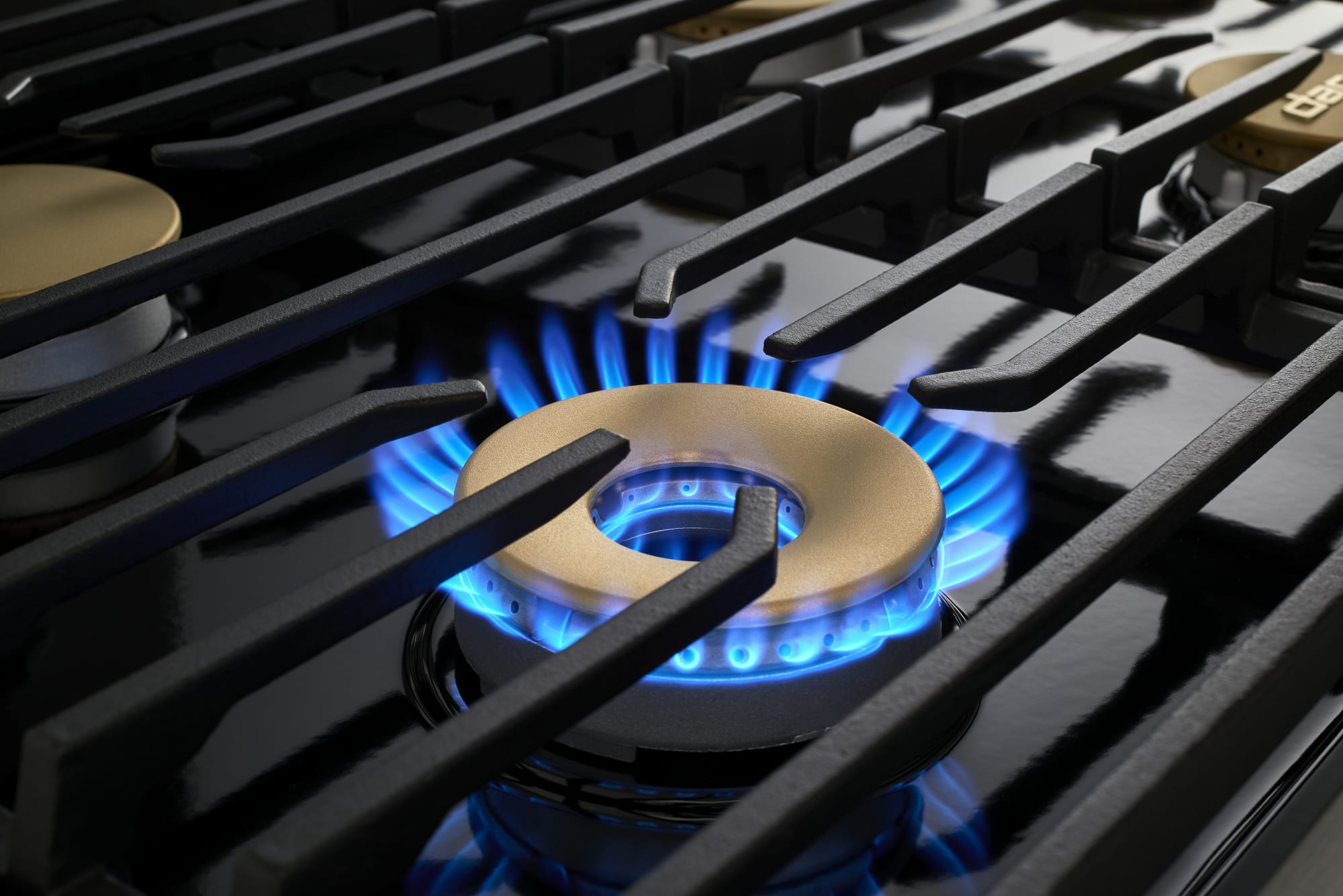 Dacor DOP36M86DPM 36 Inch Freestanding Dual Fuel Smart Range with 6 ...