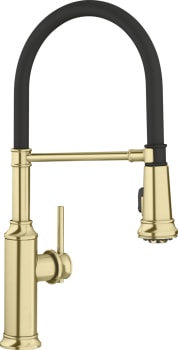 Blanco 442982 Empressa Semi Pro Single Handle Pull Out Kitchen Faucet ...