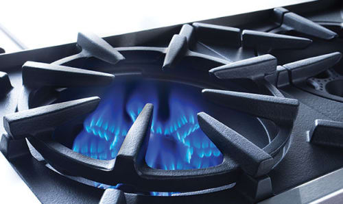 BlueStar BSP488B 48 Inch Freestanding Professional Gas Range with 8 ...