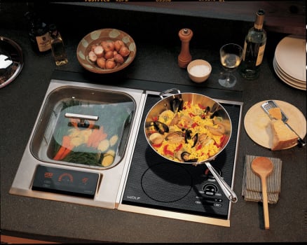 Wolf IS15S 15 Inch Electric Steamer Module with Powerful 2,600-Watt ...