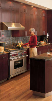 Wolf PW302210 Wall Mount Canopy Range Hood with Infinite-Speed Blower ...