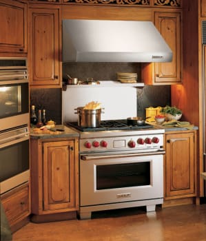Wolf DF366 36 Inch Pro-Style Dual-Fuel Range with 5.4 cu. ft. Dual ...
