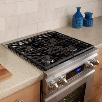 Dacor DR30DLP 30 Inch Pro-Style Dual-Fuel Range with Convection, Meat ...