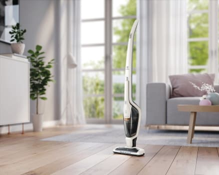 Electrolux EHVS2510AW Ergorapido™ Cordless 2-in-1 Stick Vacuum with 2 ...