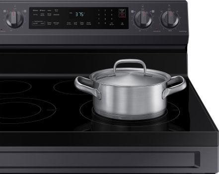 Samsung NE63A6511SG 30 Inch Freestanding Electric Smart Range with 5 ...