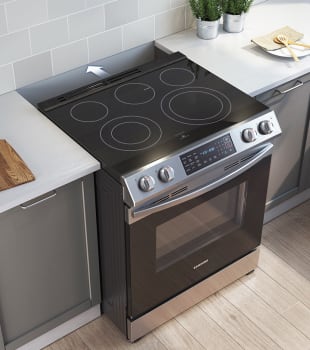 Samsung NE63T8311SS 30 Inch Slide-In Electric Smart Range with 5 ...