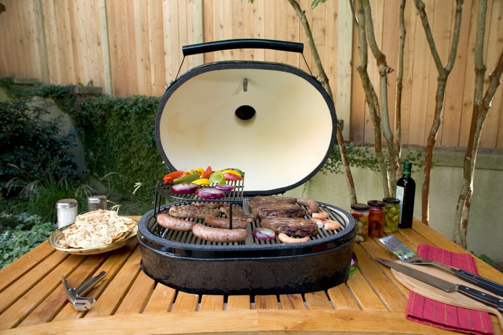 Primo 900_PRIMO 28 Inch Freestanding Ceramic Kamado Grill with 680 sq ...