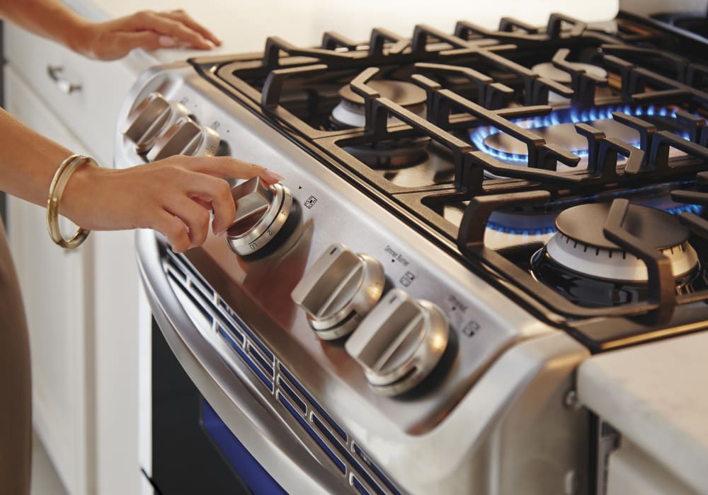 LG LDG4313ST 30 Inch Double Oven Gas Range with 5 Sealed Burners, 6.9 ...