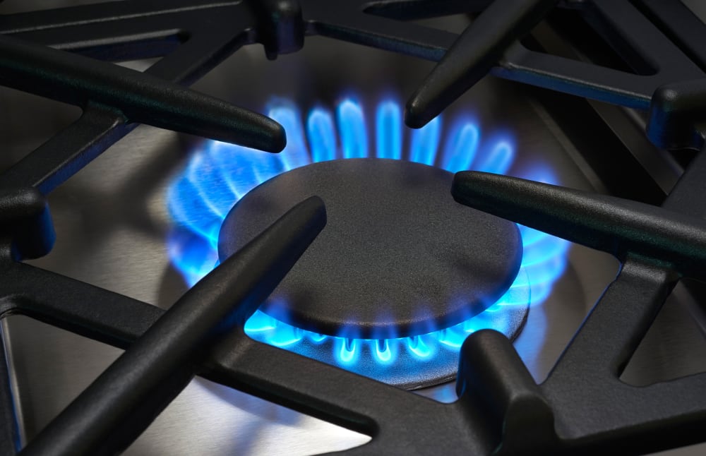 BlueStar RCS30SBSSNG 30 Inch Pro-Style Gas Range with 4 Sealed Burners ...