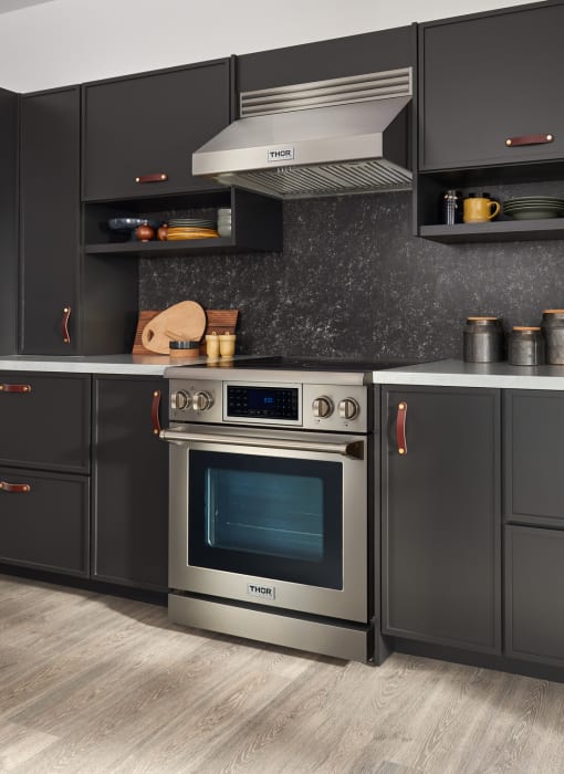 Thor Kitchen TRE3001 30 Inch Freestanding Professional Electric Range ...