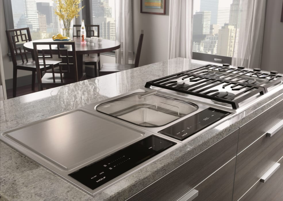 Wolf SM15TS 15 Inch Built-In Steamer Module with 2700-Watt Heating ...