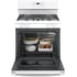 GE JGBS61DPWW 30 Inch Freestanding Gas Range with 4 Sealed Burners, 4.8 ...