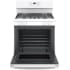 GE JGBS61DPWW 30 Inch Freestanding Gas Range with 4 Sealed Burners, 4.8 ...