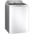 GE Profile PTW600BSRWS 28 Inch Top Load Smart Washer with 5.0 Cu. Ft ...